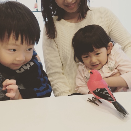 Beans Family | Beans family Blog